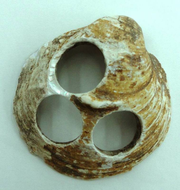 Shell, White River Button Industry – Works – eMuseum