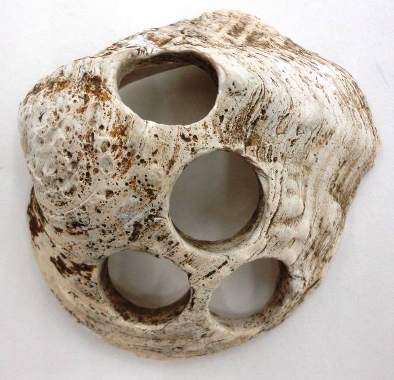 Shell, White River Button Industry – Works – eMuseum